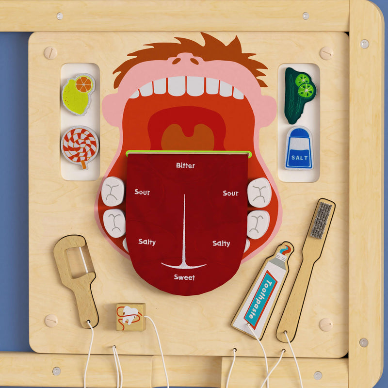 Dental Health Wood STEAM Board MK-ME10346- – BizChair